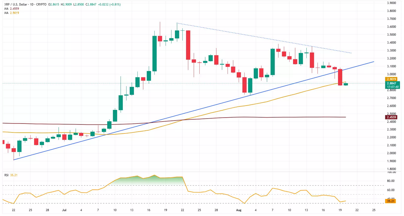 XRP Slips Below $1.50: Bearish Pennant Signals Prolonged Downtrend Risk ...